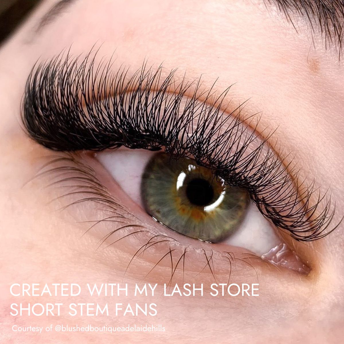 3D Short Stem Premade Volume Fans (320 Fans) - My Lash Store